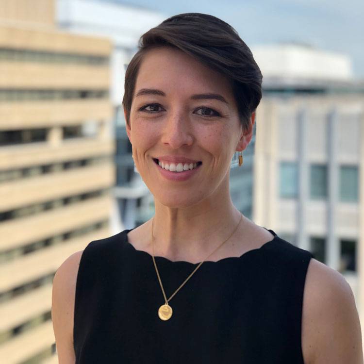 CARB Drops Request for Federal Approval of EV Truck Rules - Western ...