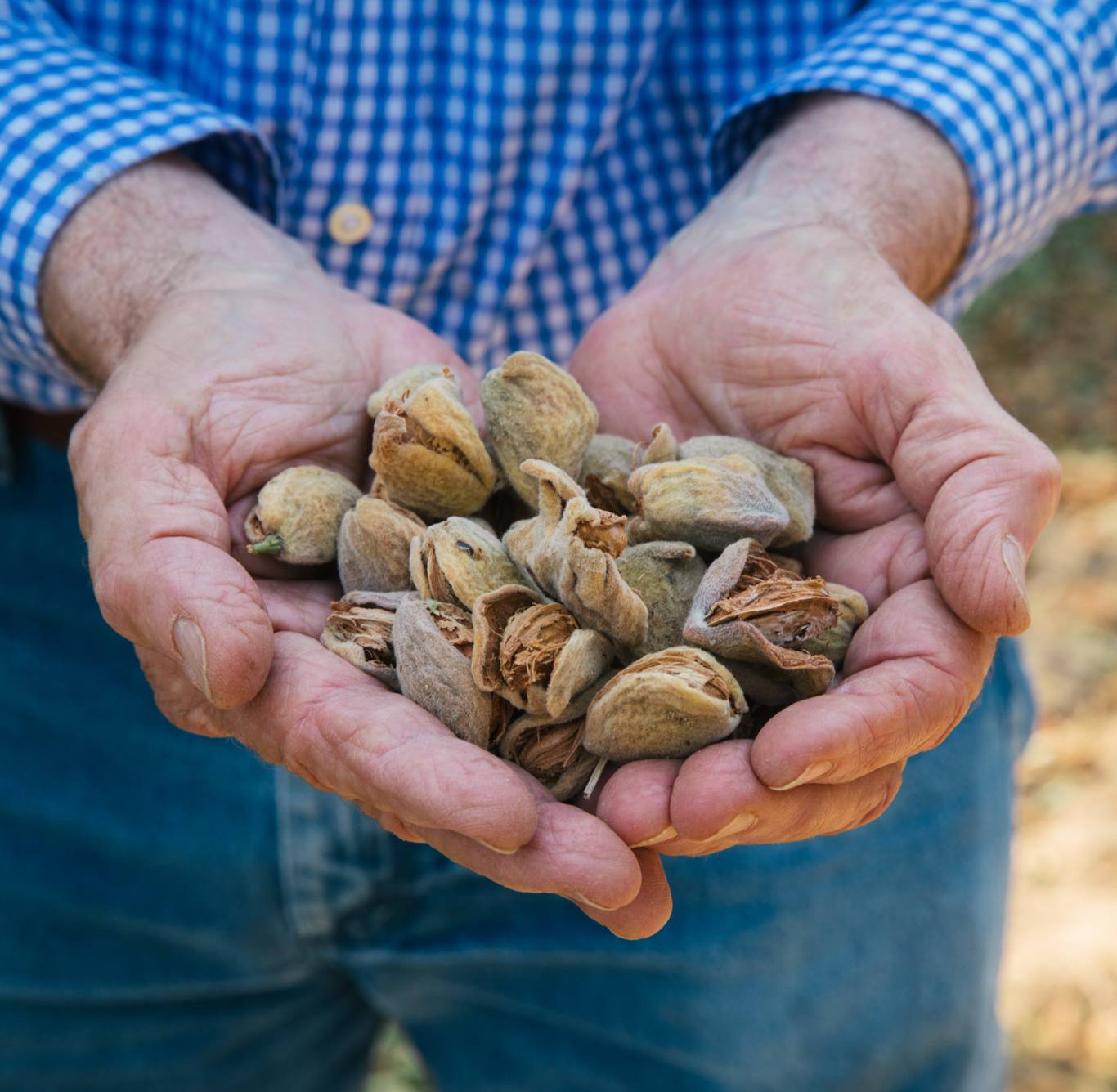 Agricultural & Farming Career Opportunities - Apply Online Today ...