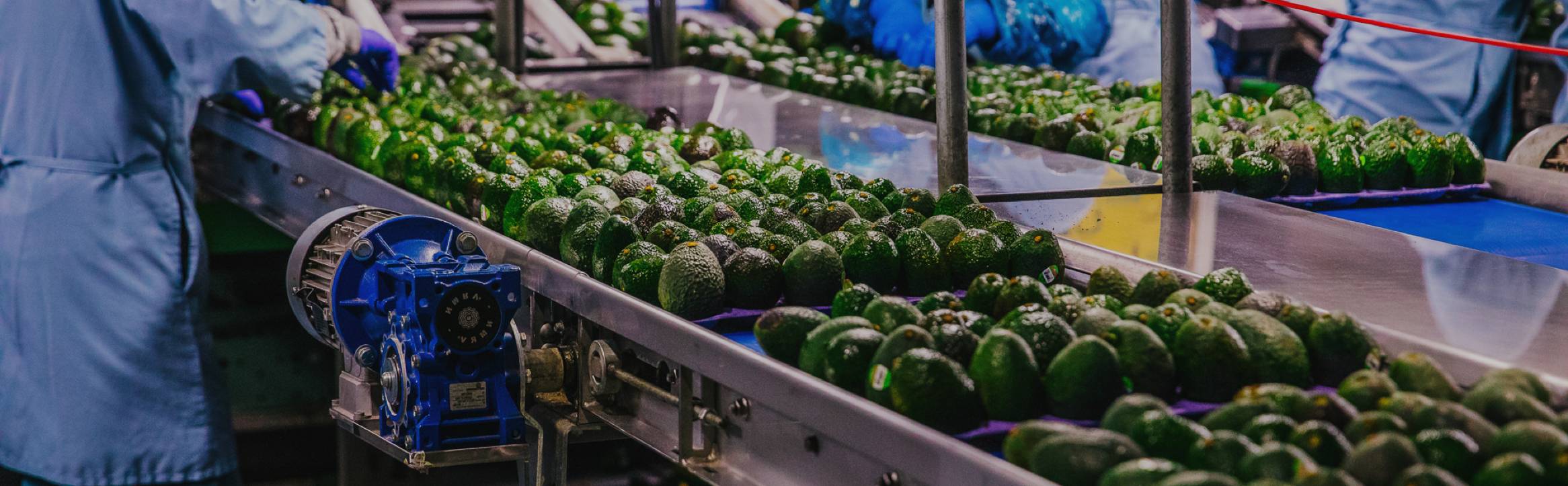 International Trade - Western Growers Association Western Growers ...