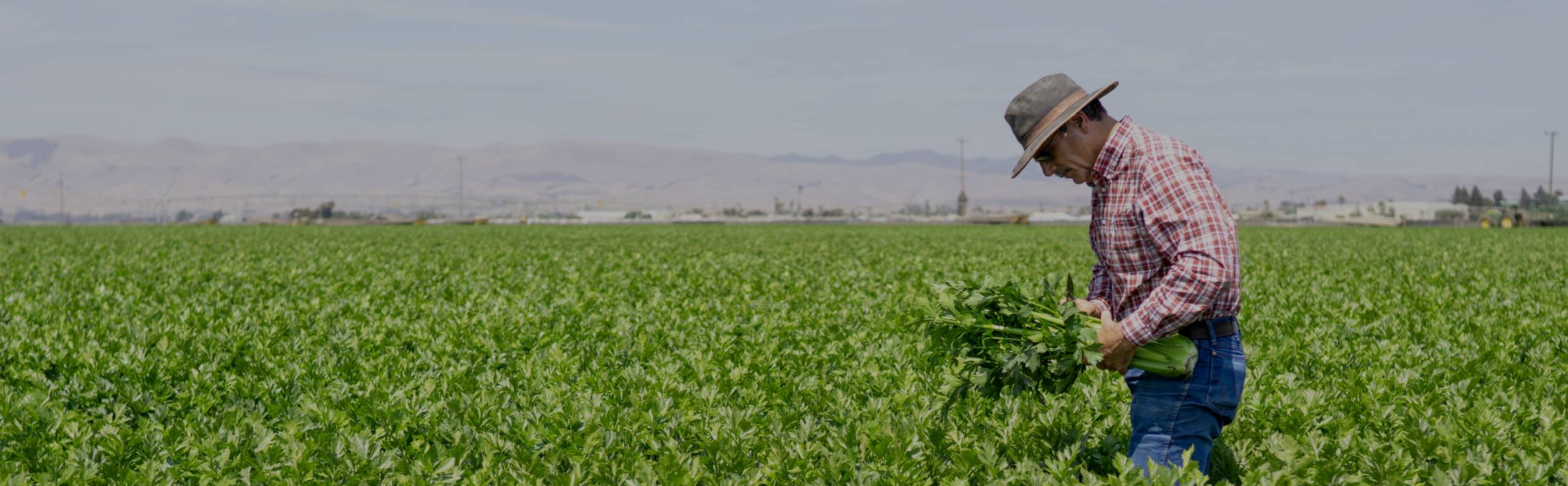 Science - Western Growers Association Western Growers Association