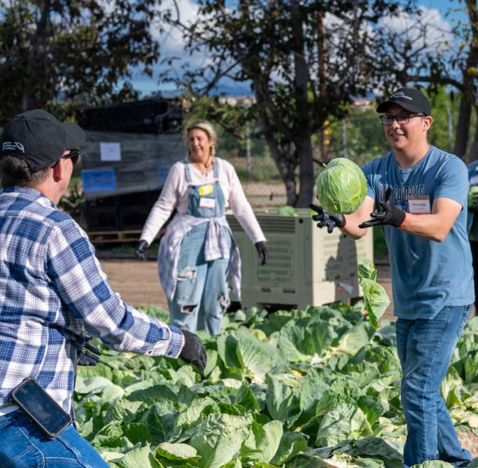 Agricultural & Farming Career Opportunities - Apply Online Today ...